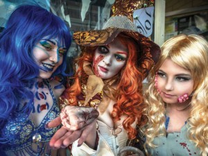 Lithgow Council Welcomes New Leadership following 2024 Elections ...