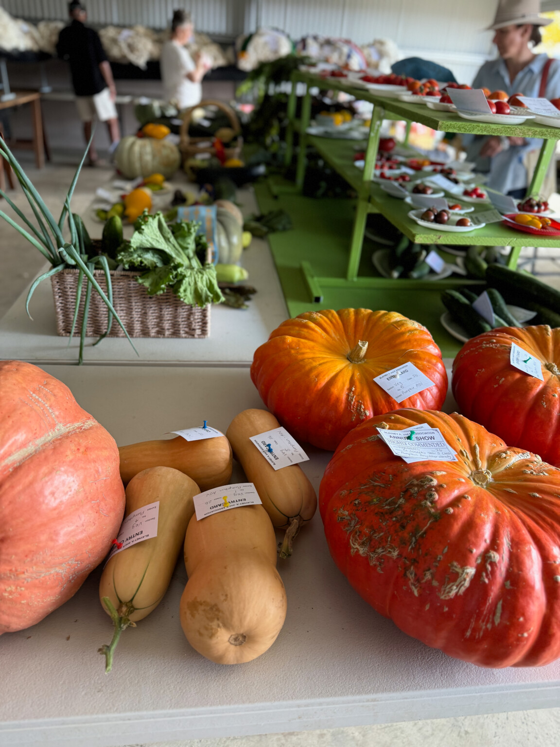 Blayney Show 2025A Day of Celebration Under Clear Skies – Central West ...